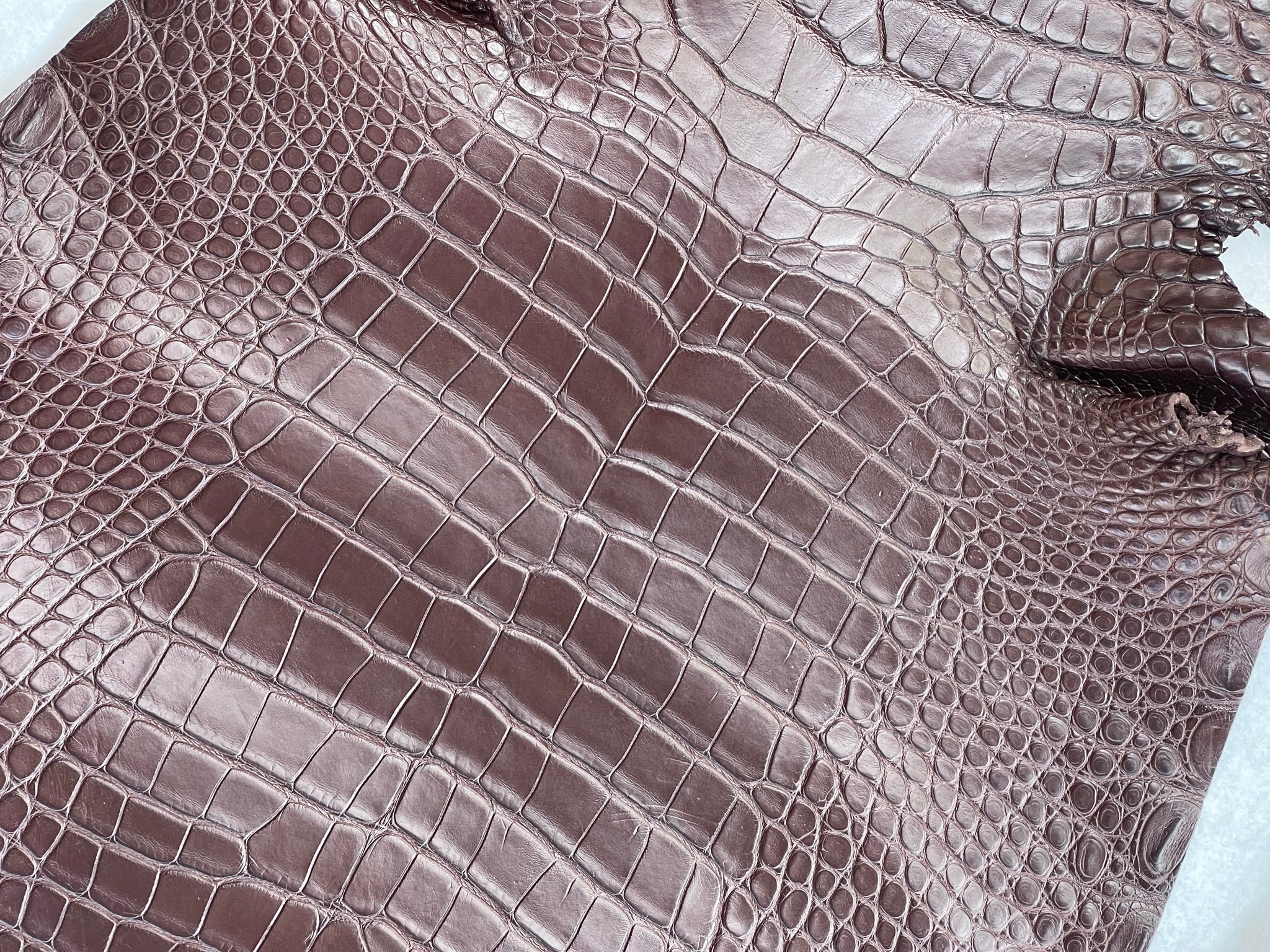 Genuine Chocolate Skin – Tjcleather